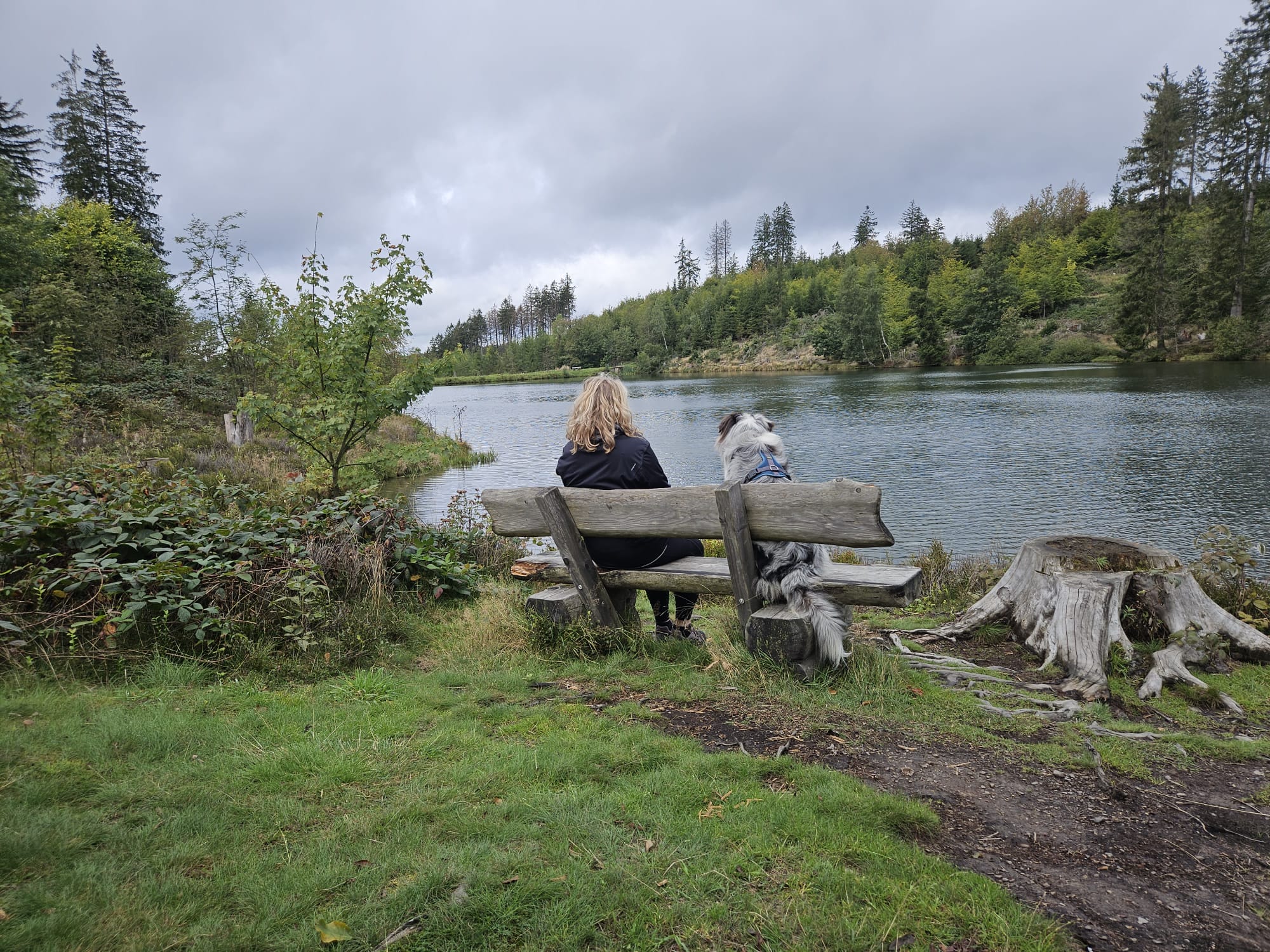 Team – ProRetriever e.V.