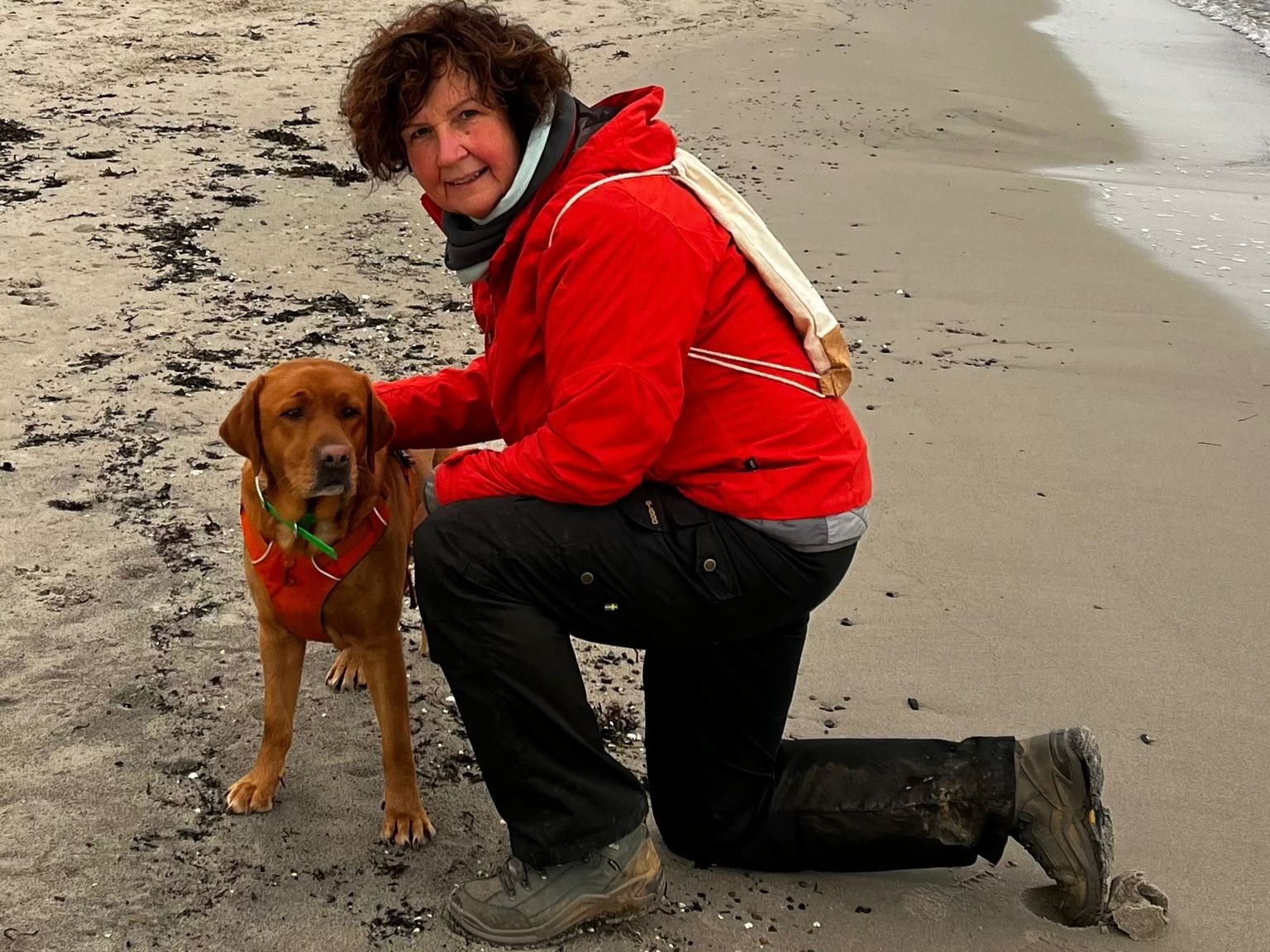 Team – ProRetriever e.V.