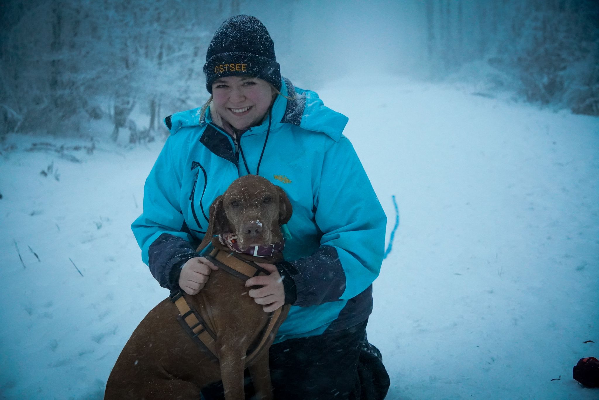 Team – ProRetriever e.V.